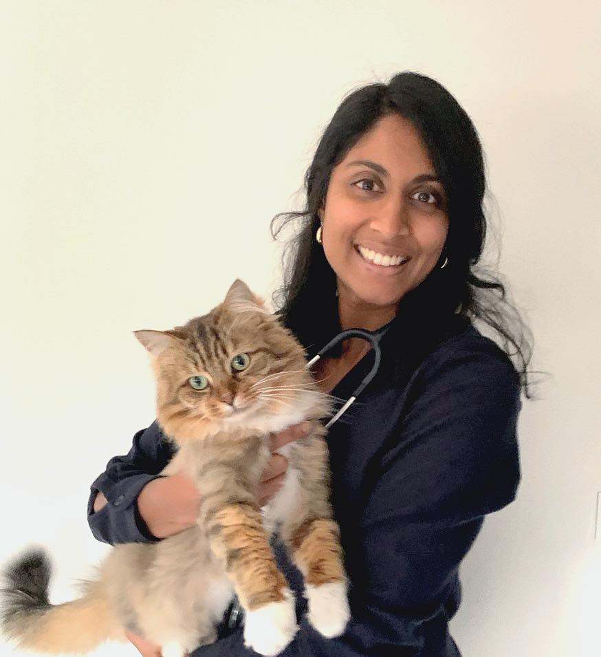 Dr. Selvi Jegatheeson